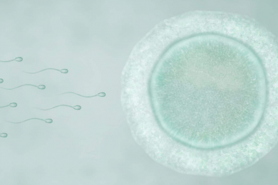 Los pasos de una inseminación artificial - Unidad de la mujer