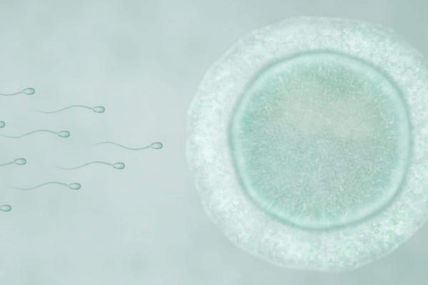 Los pasos de una inseminación artificial - Unidad de la mujer